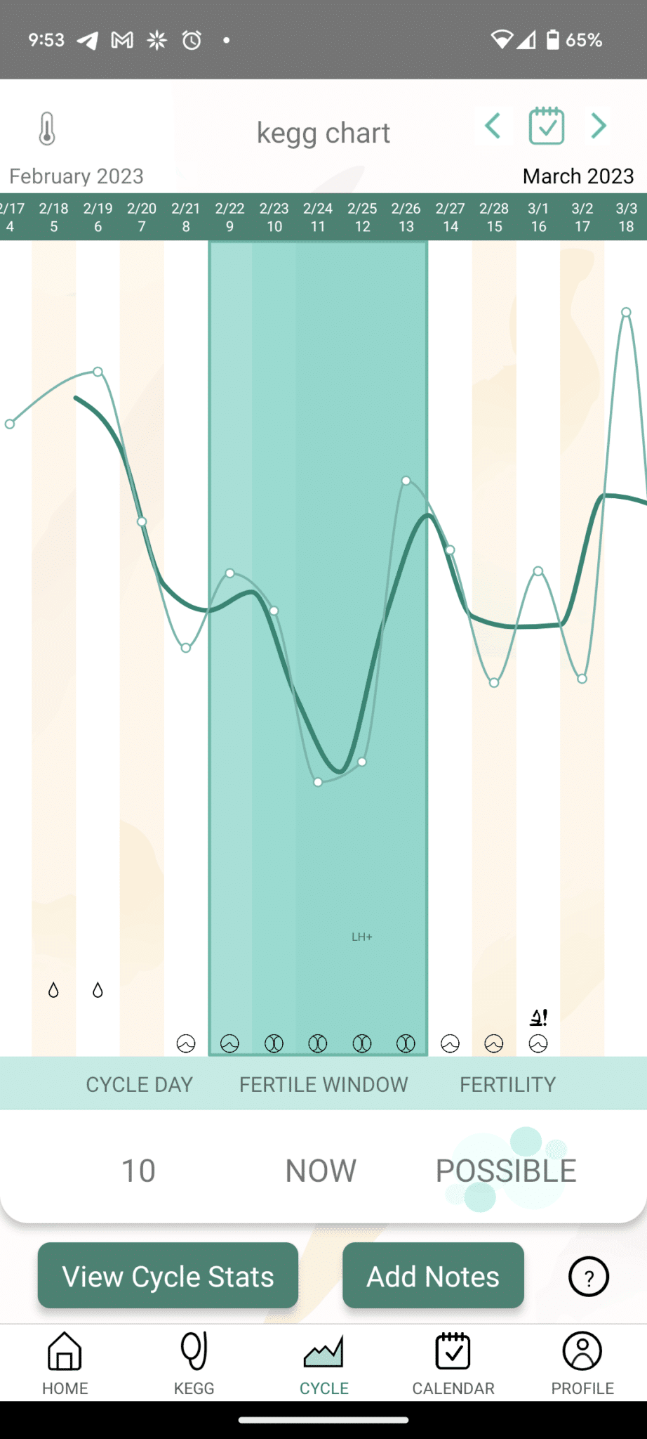 If you want to get pregnant, you need to track your cervical mucus with kegg - Fertility Understood